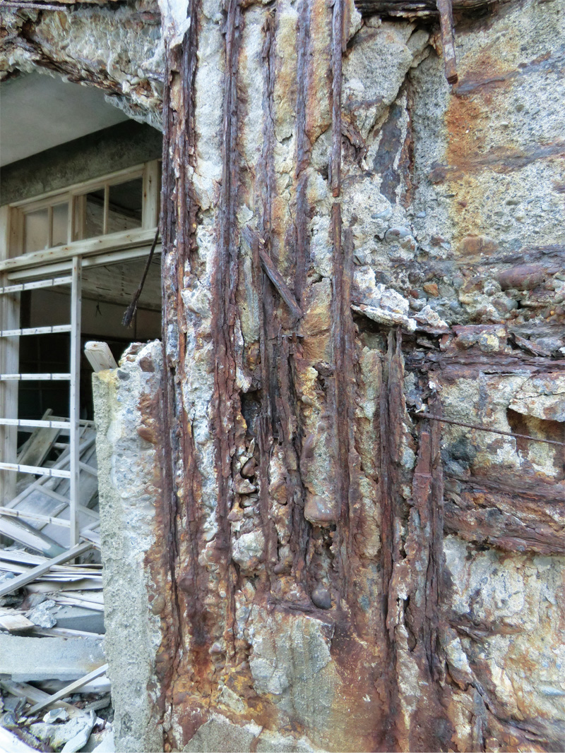 FUKUYAMA, Tomoko｜Researchers｜Academics｜Graduate School of Science and ...