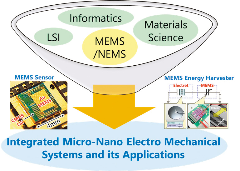 YAMANE, Daisuke｜Researchers｜Academics｜Graduate School of Science and ...