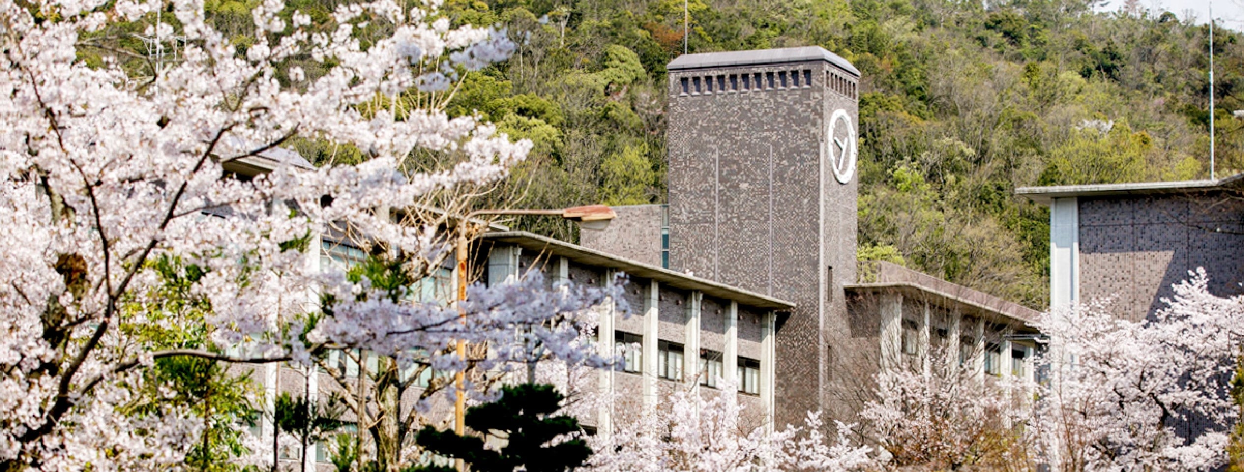 Study in Kansai Program | Ritsumeikan University